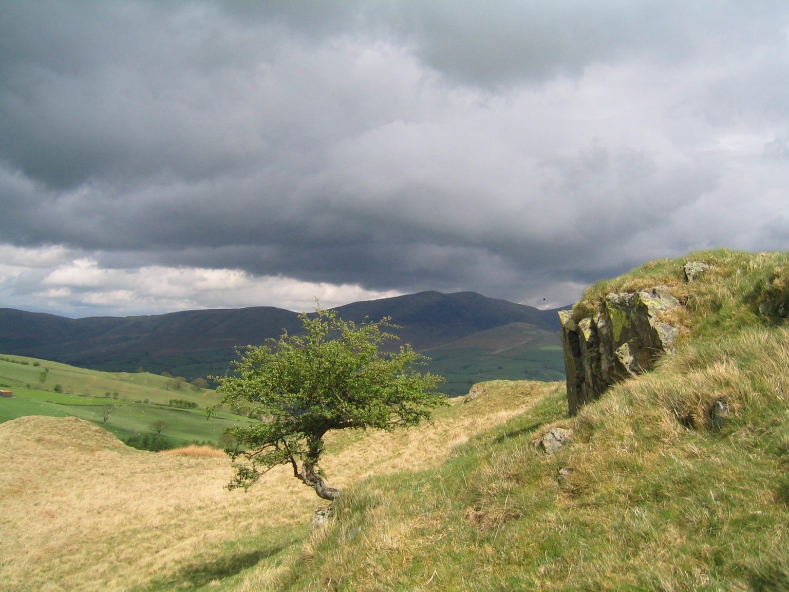 Welcome to Quaker.org - Quaker.org